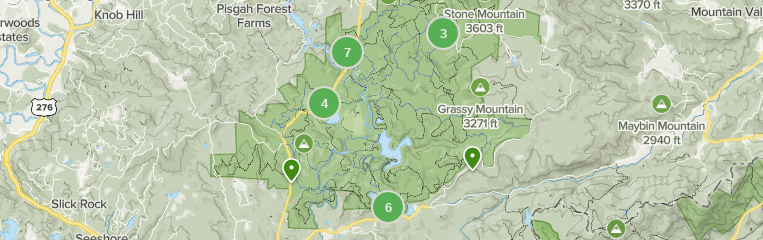 Best 10 Easy Trails in DuPont State Recreational Forest | AllTrails