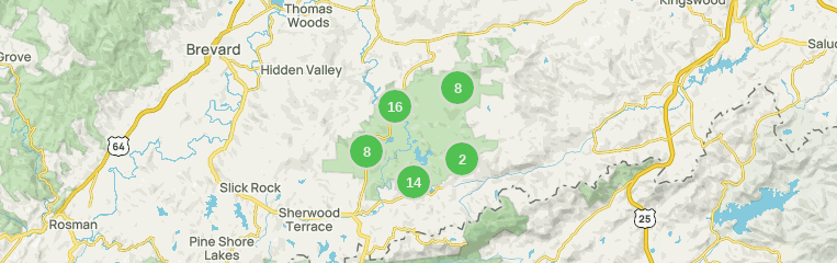 2023 Best 10 Forest Trails in DuPont State Recreational Forest | AllTrails