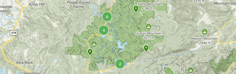 Best 10 Kid Friendly Trails in DuPont State Recreational Forest | AllTrails