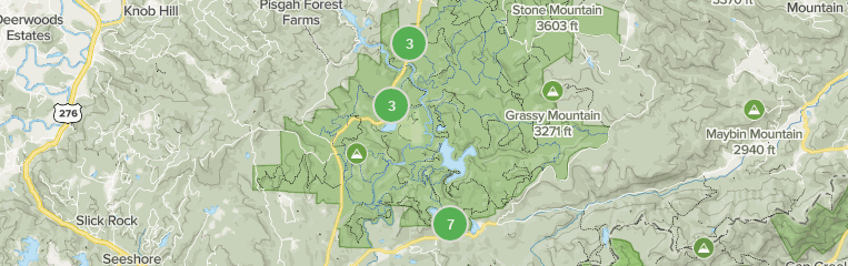 Best 10 Lake Trails in DuPont State Recreational Forest | AllTrails