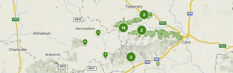 Bansha Forest : Meilleurs itinéraires en forêt | AllTrails