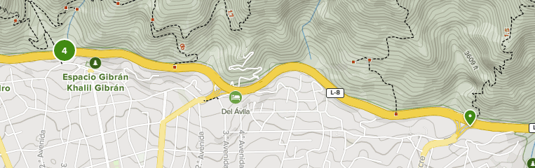 Najlepsze szlaki leśne w: Parque Nacional El Ávila | AllTrails