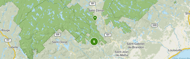 Best Forest Trails in Zec Lavigne | AllTrails