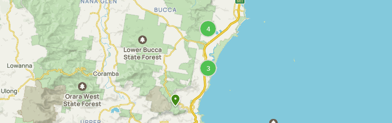 Best Forest Trails in Orara East State Forest | AllTrails