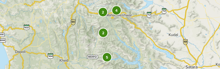 Best Forest Trails in Koyna Wildlife Sanctuary | AllTrails