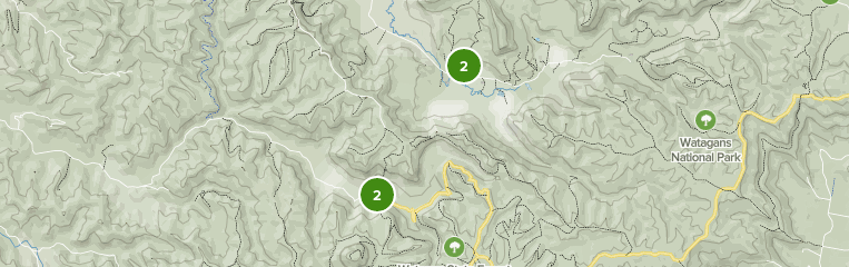 Best Walking Trails in Watagan State Forest | AllTrails