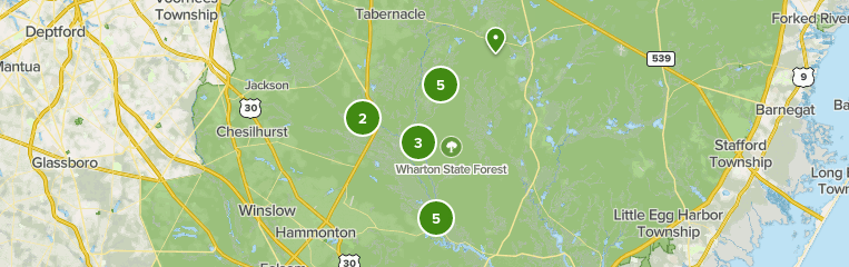 2023 Best Views Trails in New Jersey Pinelands National Reserve | AllTrails