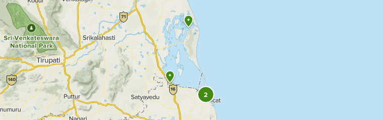 Best Views Trails in Pulicat Lake Bird Sanctuary | AllTrails