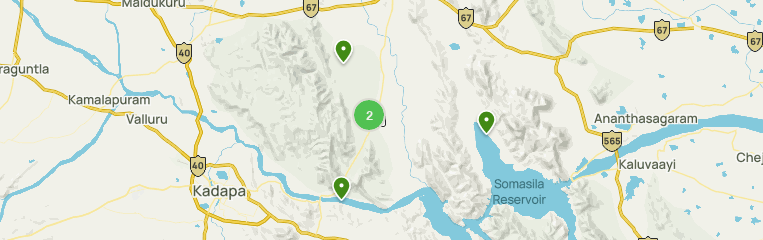 Best Walking Trails in Sri Lankamalleswara Wildlife Sanctuary | AllTrails