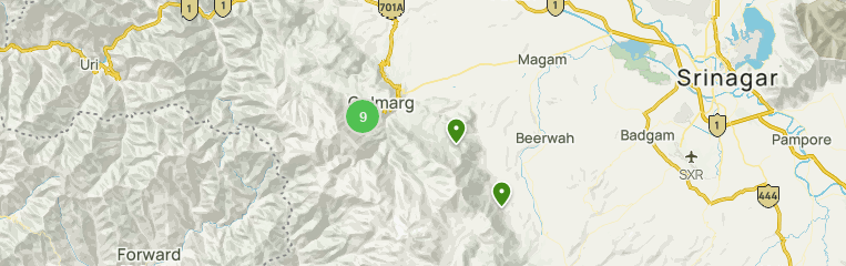 10 Best Wild Flowers Trails in Gulmarg Wildlife Sanctuary | AllTrails