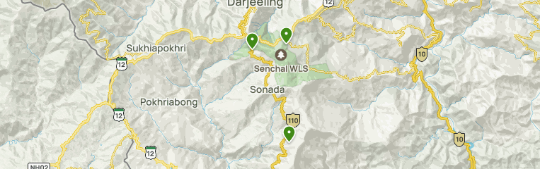 Best Forest Trails in Senchal Wildlife Sanctuary | AllTrails