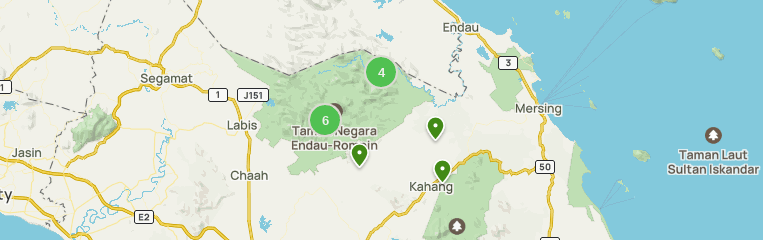 2023 Best 10 Forest Trails in Endau Rompin National Park (Peta) | AllTrails