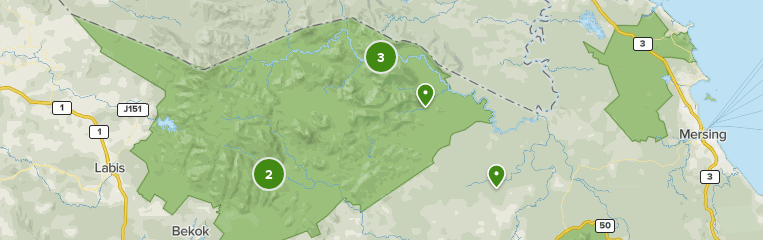 2023 Best River Trails in Endau Rompin National Park (Peta) | AllTrails