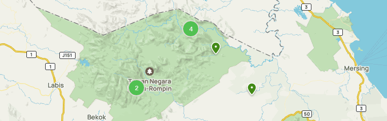 2023 Best River Trails in Endau Rompin National Park (Peta) | AllTrails