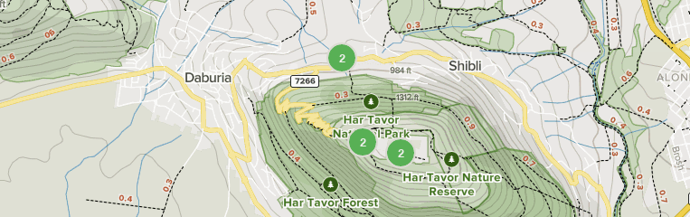 Best Easy Trails in Mount Tabor National Park | AllTrails