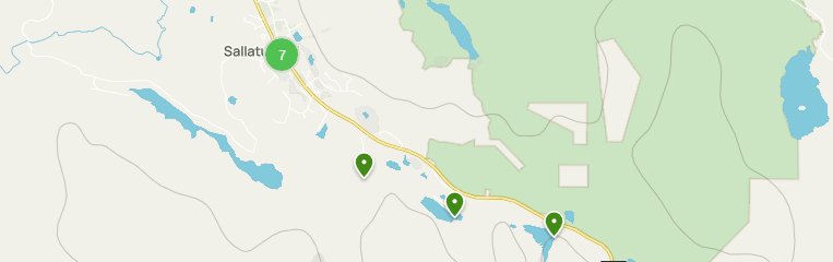 2023 Best 10 Forest Trails in Salla National Park | AllTrails