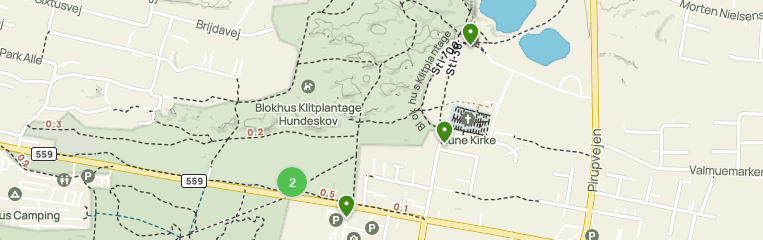 Best Dog Friendly Trails in Blokhus Klitplantage | AllTrails