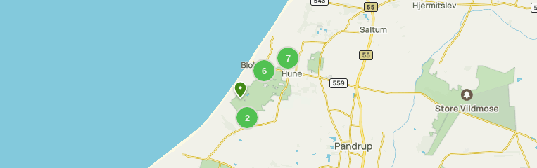 2023 Best 10 Walking Trails in Blokhus Klitplantage | AllTrails