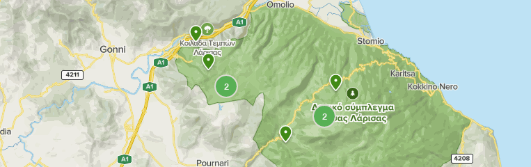 Best Forest Trails in Mount Ossa Forest Complex | AllTrails