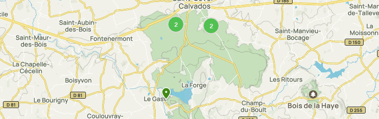 2023 Best Moderate Trails in Forêt domaniale de Saint-Sever | AllTrails