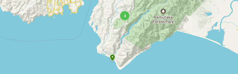 Best Moderate Trails in Remutaka Forest Park | AllTrails