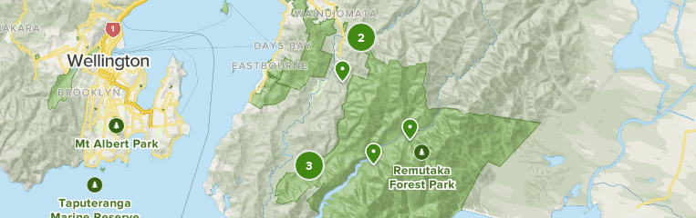 Best River Trails in Remutaka Forest Park | AllTrails