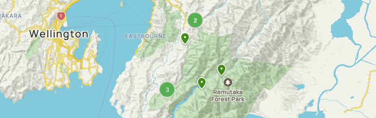 Best Hikes and Trails in Remutaka Forest Park | AllTrails