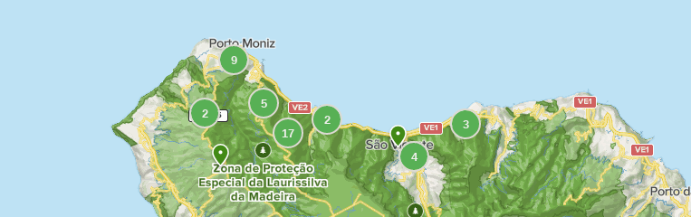 Best Forest Trails in Floresta Laurissilva da Madeira | AllTrails