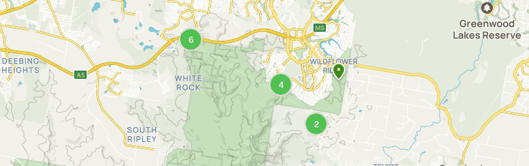 10 Best Forest Trails in White Rock - Spring Mountain Conservation ...