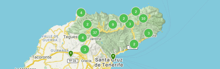 2023 Best 10 Forest Trails in Parque Rural de Anaga | AllTrails