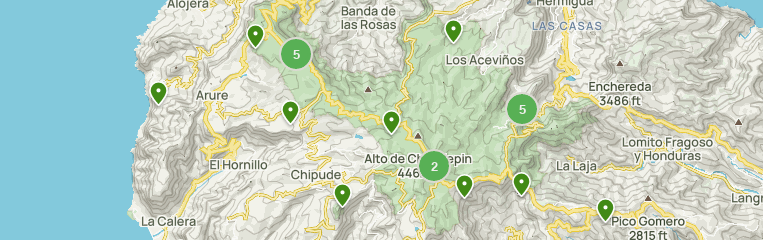 2023 Best 10 Easy Trails in Garajonay National Park | AllTrails