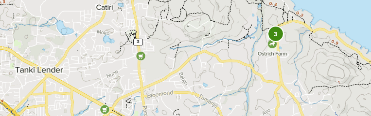 Best Beach Trails in Paradera | AllTrails