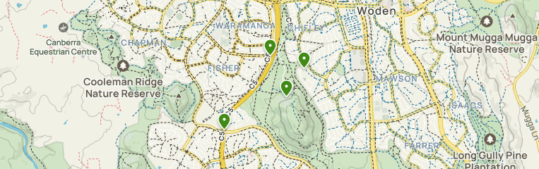Best Forest Trails in Woden | AllTrails