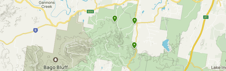 2023 Best Forest Trails in Bago | AllTrails