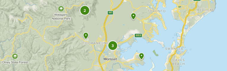 Best 10 Forest Trails in Cooranbong | AllTrails