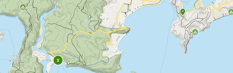 Best Beach Trails in Patonga | AllTrails