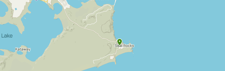 Best Forest Trails in Seal Rocks | AllTrails