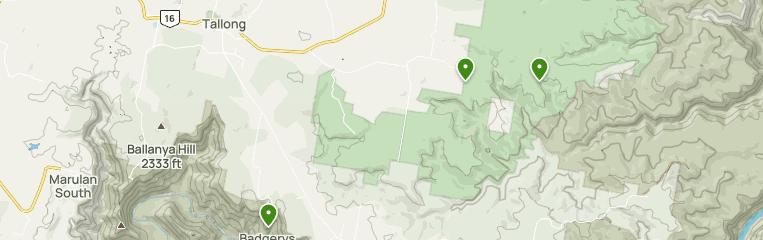 Best Forest Trails in Tallong | AllTrails