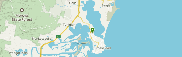 Best Forest Trails in Tuross Head | AllTrails