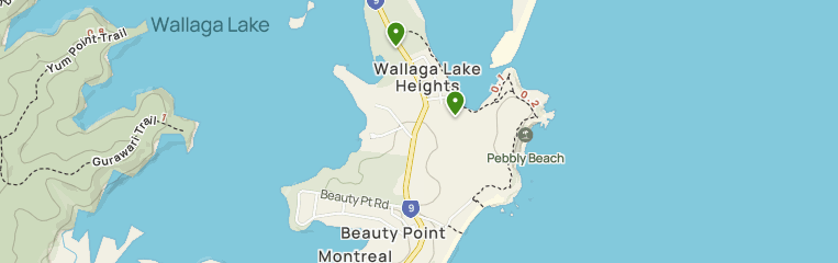 2023 Best Beach Trails in Wallaga Lake National Park | AllTrails