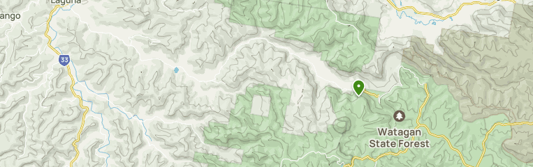 Best Forest Trails in Watagan | AllTrails