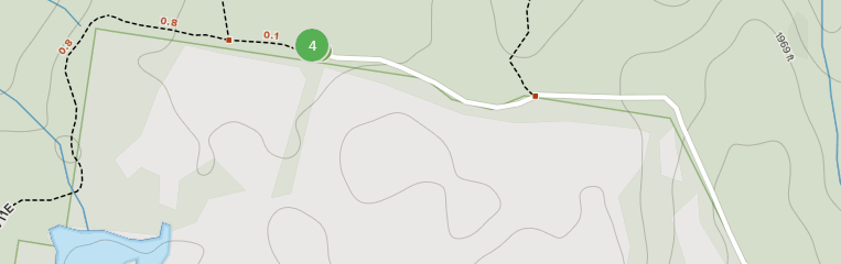 Best River Trails in Wattle Ridge | AllTrails