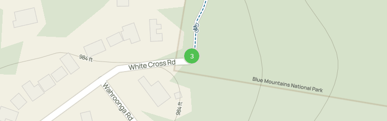 Best Forest Trails in Winmalee | AllTrails
