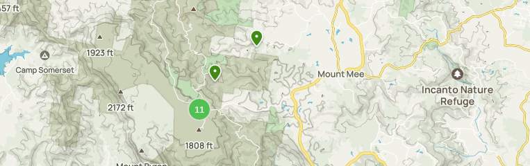 10 Best Forest Trails in Mount Mee | AllTrails