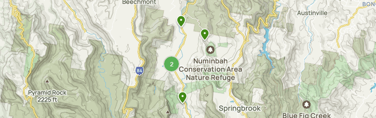 Best Moderate Trails in Numinbah Valley | AllTrails