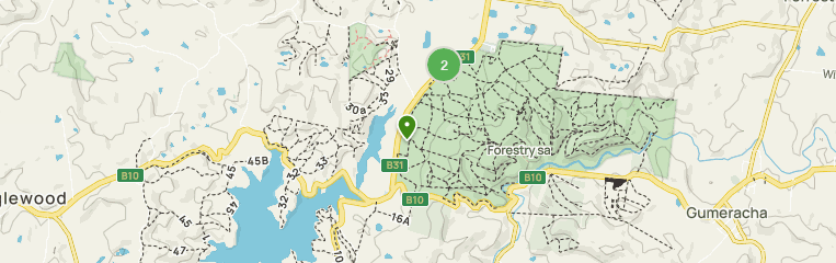 Best Forest Trails in Chain of Ponds | AllTrails