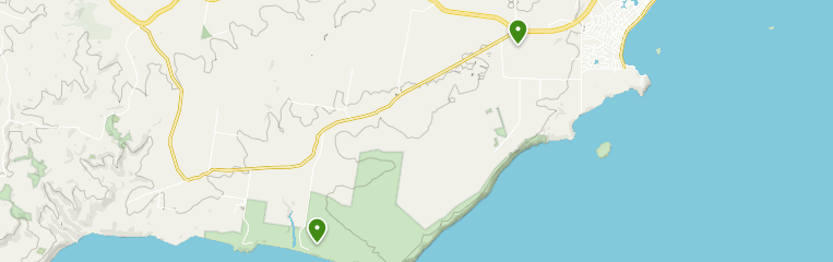 Best Forest Trails in Waitpinga | AllTrails