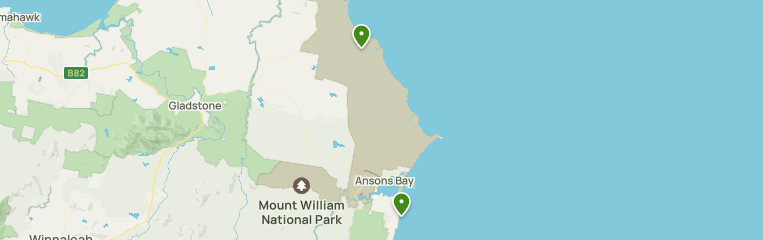 Best Backpacking Trails in Mount William | AllTrails