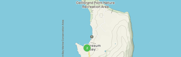 Best Beach Trails in Opossum Bay | AllTrails