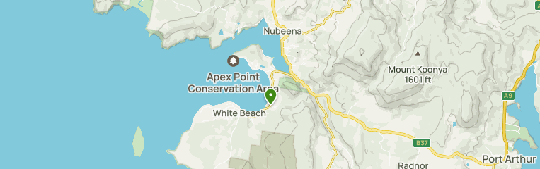 Best Bird Watching Trails in White Beach | AllTrails